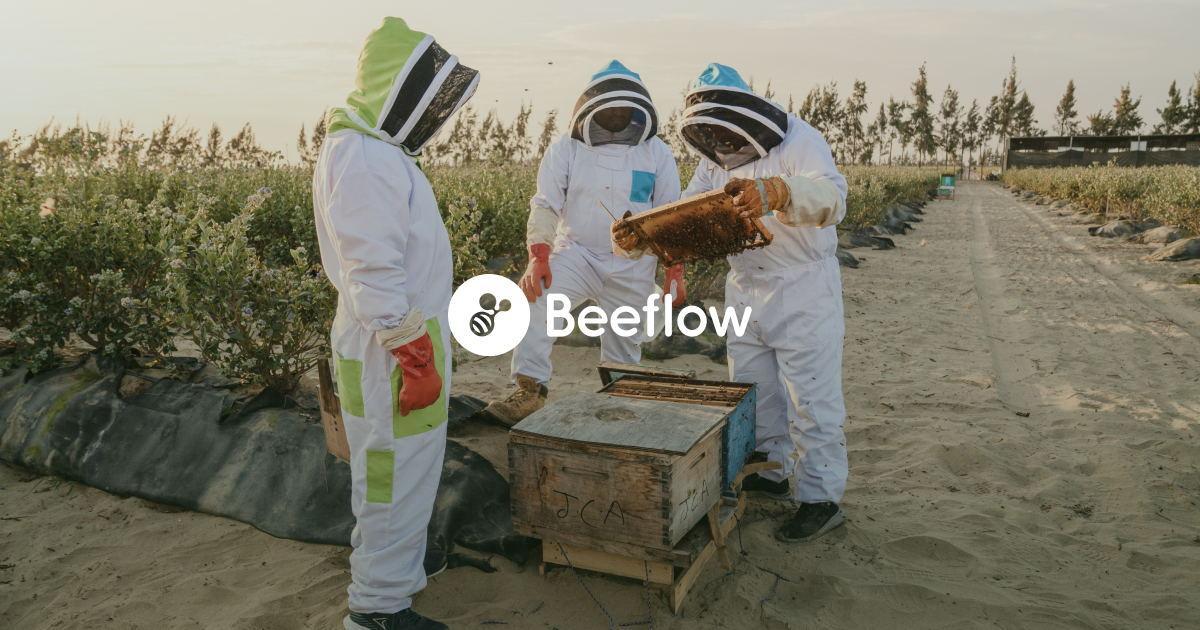 Work with us | Beeflow